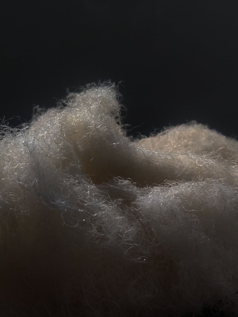 Fashion for Good and Altmat launch Altag Fibre Club | textile network