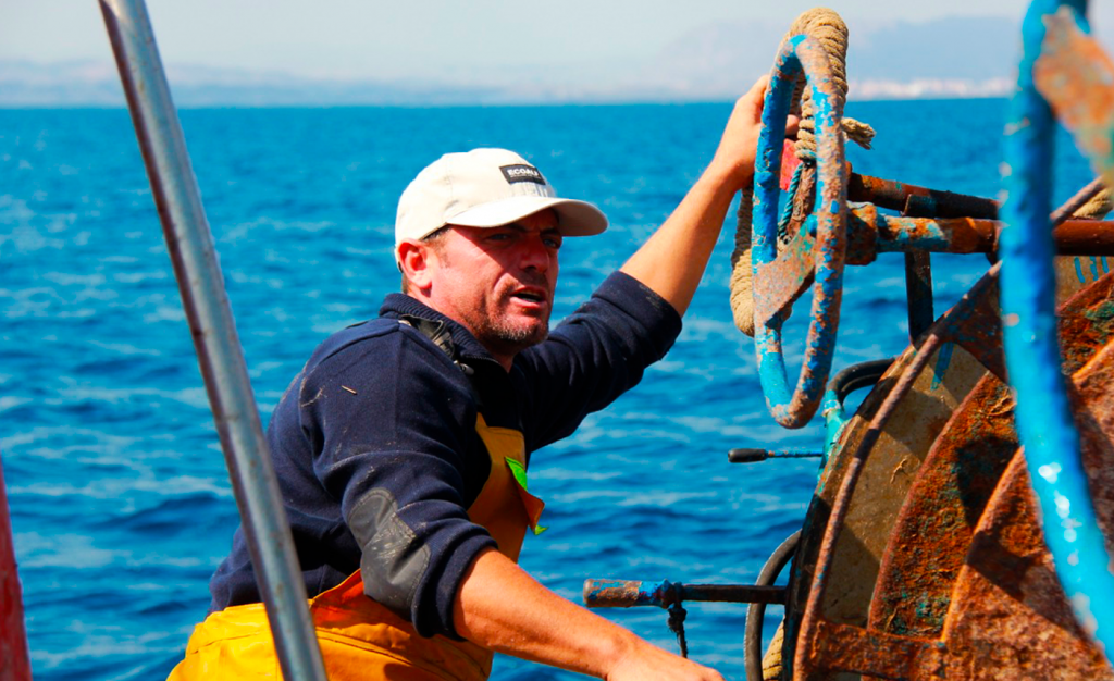 Seaqual offers more than a fiber | textile network