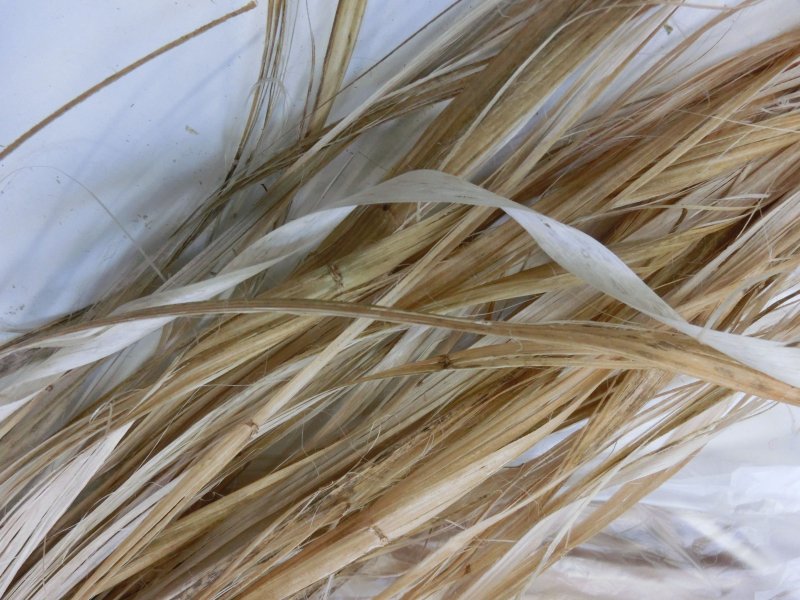 Biogenic Heavy Tows based on hemp bast bark | textile network