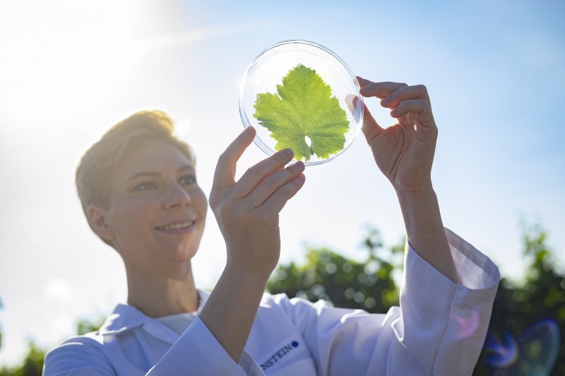 European Green Deal goals for the textile industry | textile network