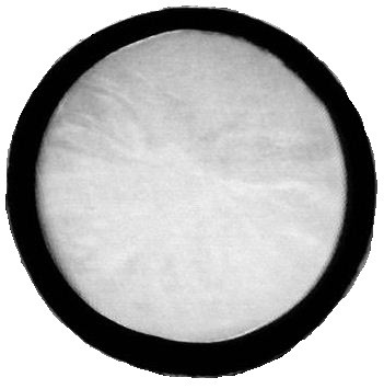 Techtextil/Texprocess 2015: Perlon Nextrusion Monofil | textile network