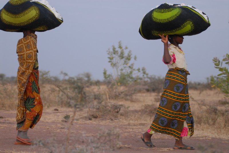 Remei AG: The only way is together | textile network