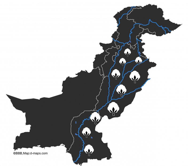 Pakistan: Cotton area to decrease in 2020/21 | textile network
