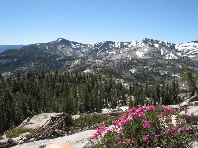 Invista´s Cordura Brand Announces Sponsorship of Pacific Crest Trail ...