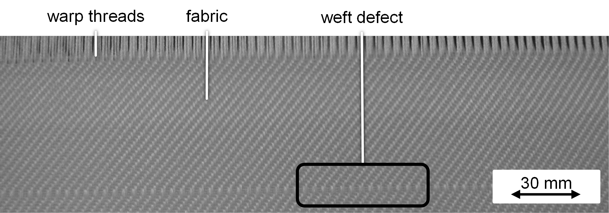 Vision-based shed inspection supporting the automated removal of faulty ...